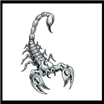 Xem ngay hình Hình vẽ con bò cạp độc và lạ mắt